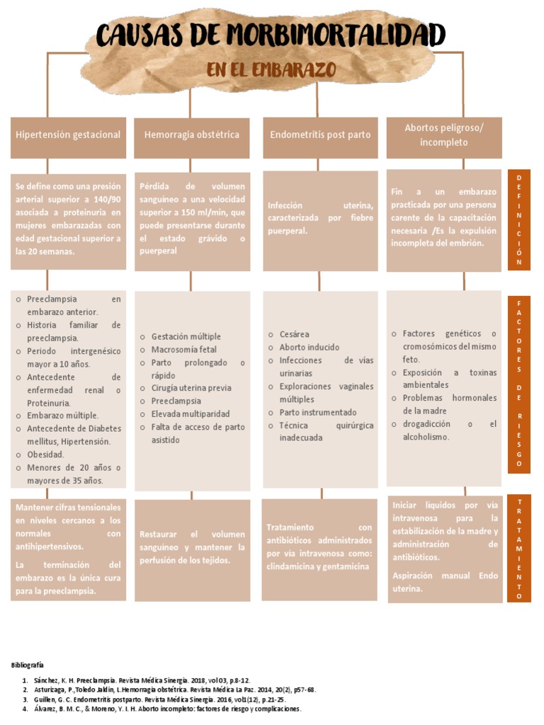 Causas de Morbimortalidad en El Embarazo | PDF | El embarazo | Parto
