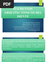 Rizolisis Dental 2 | PDF | Hueso | Inflamación