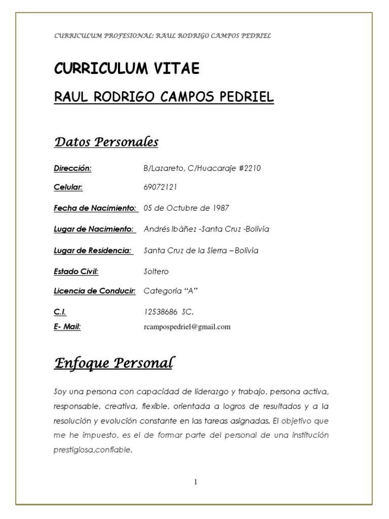 Curriculum Raul | PDF