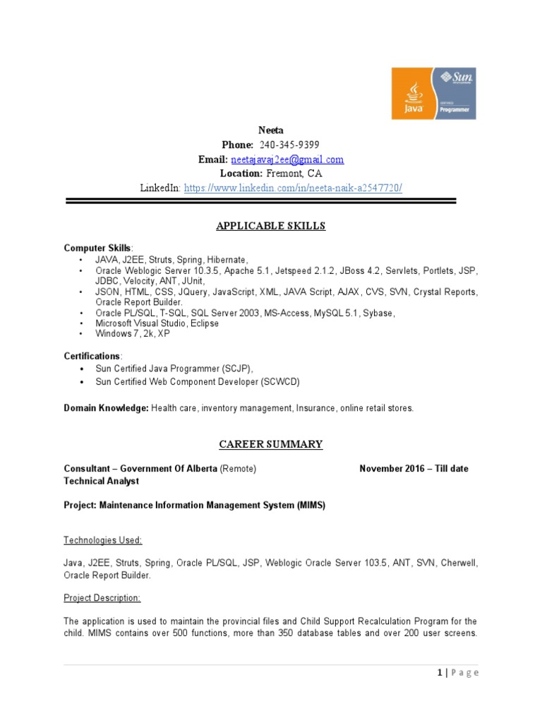 Neeta Naik: Java Consultant Profile | PDF | Databases | Java ...