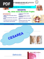 Posición Genupectoral | PDF