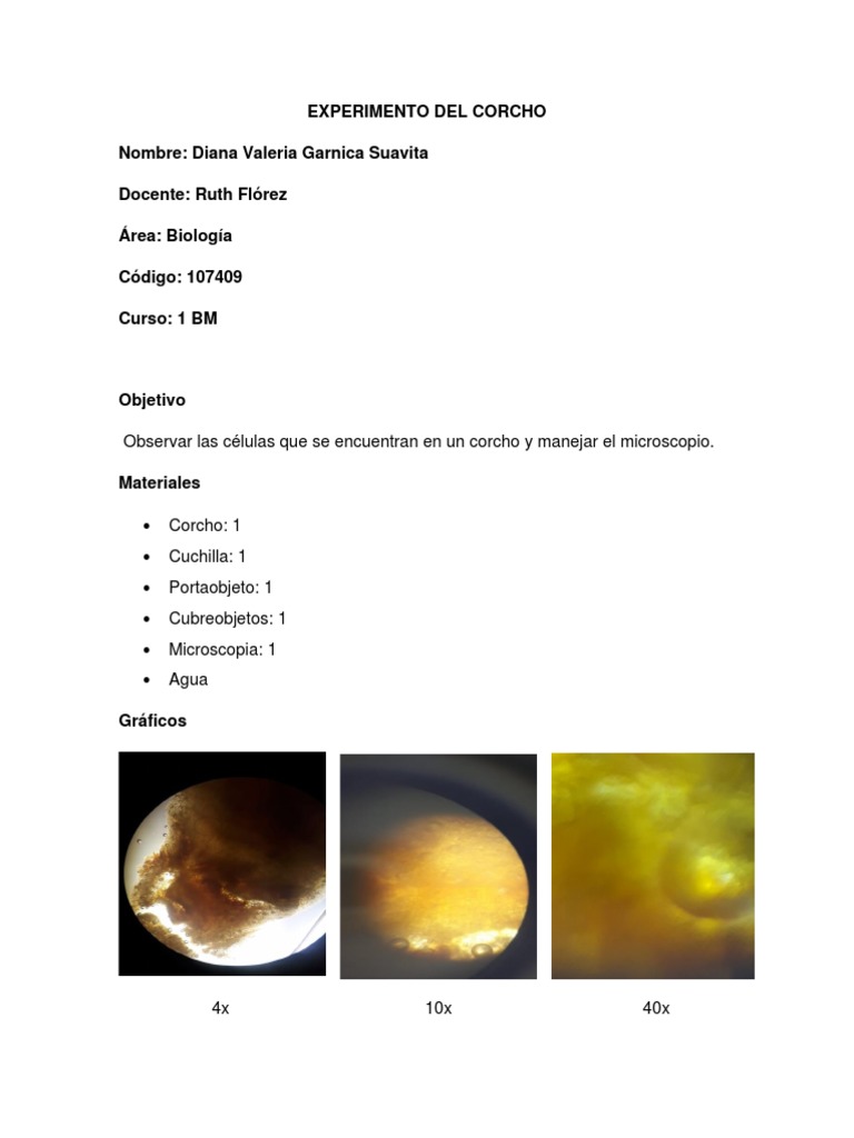 Observación de Células de Corcho al Microscopio | PDF