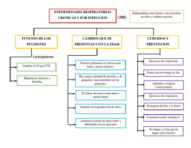 Mapa Conceptual Parte 1 | PDF