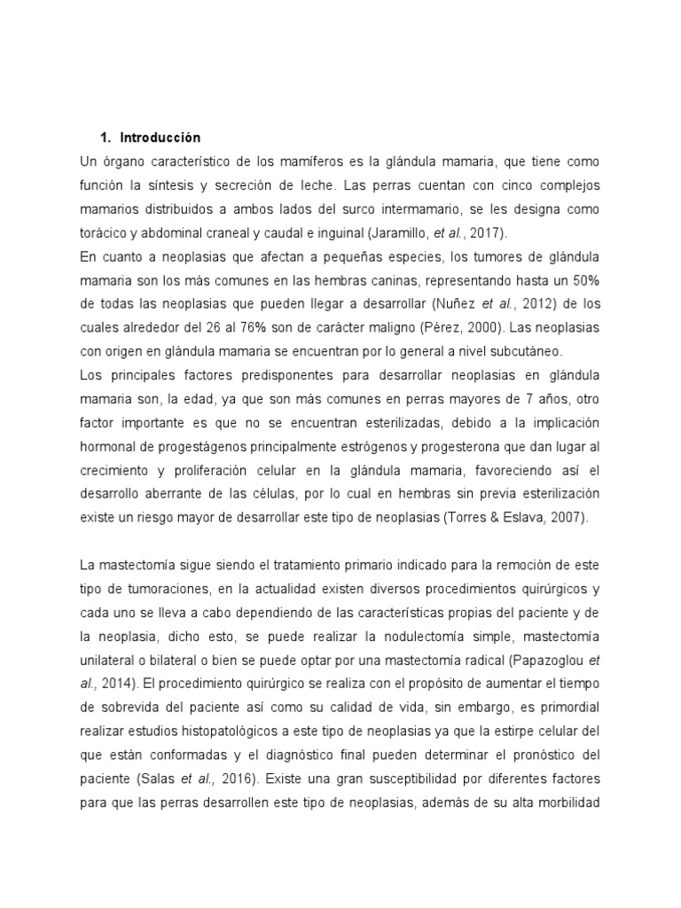 Mastectomía Radical en Perra con Tumor Mamario | PDF | Cáncer | Analgésico