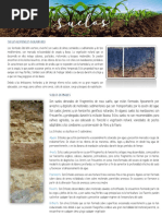 Características de los Suelos Fluvisoles | PDF | Suelo | Riego