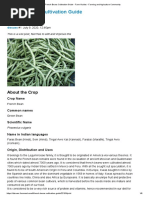 Watermelon Complete Guide. | PDF | Fertilizer | Watermelon