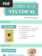 Tracto Rubroespinal | PDF | Cerebro | Neuroanatomía