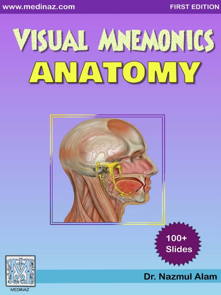 Visual Mnemonics Anatomy | PDF