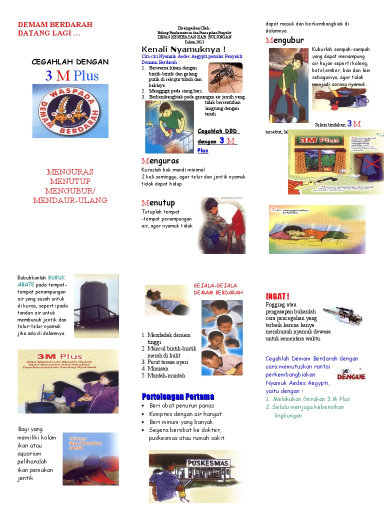 Leaflet 3m Plus Pencegahan DBD | PDF