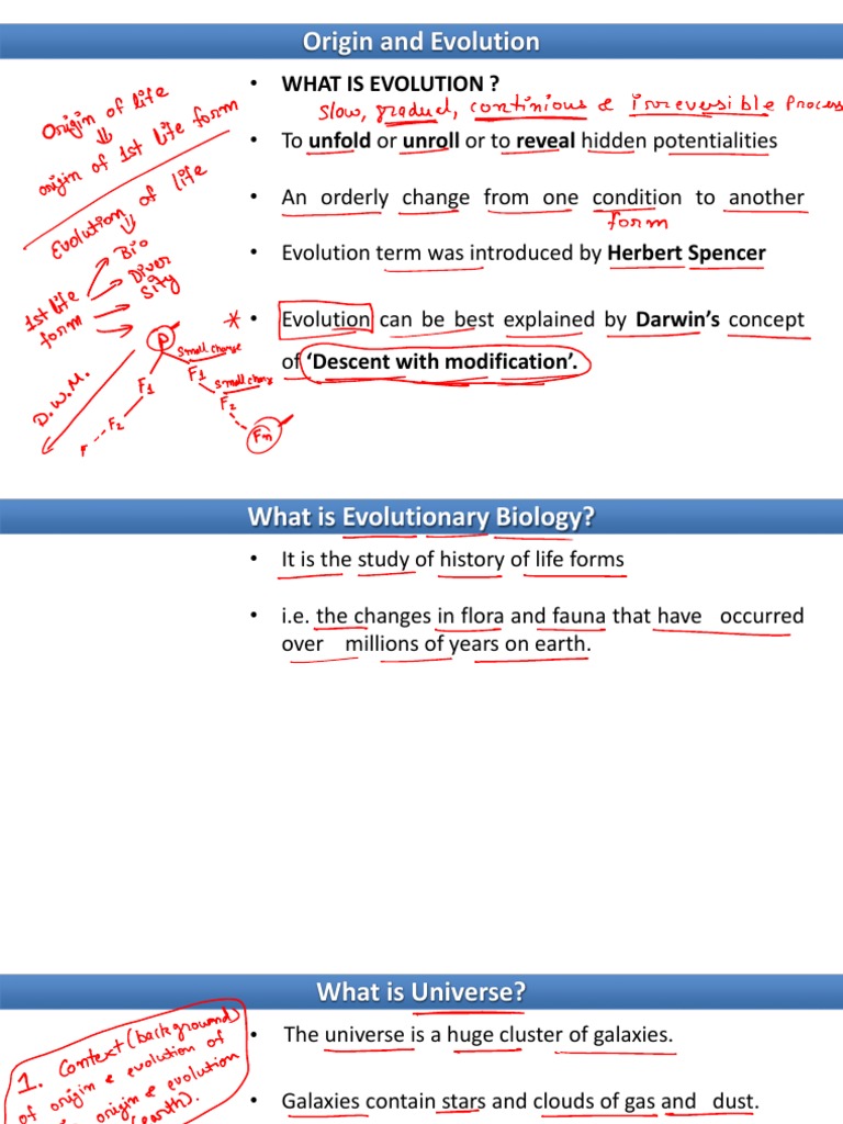 Origin and Evolution | PDF