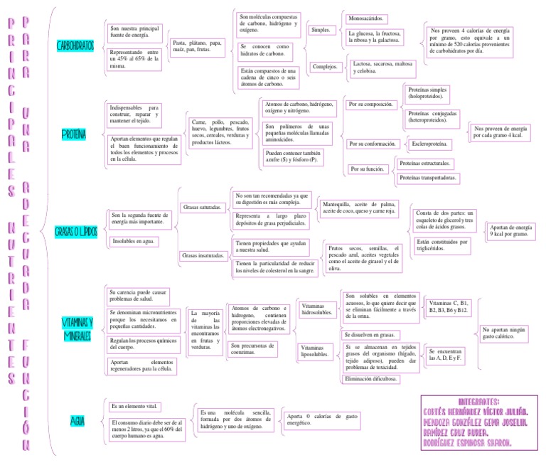 Esquema Nutrientes | PDF | Carbohidratos | Vitamina
