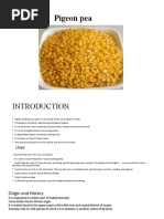 Covo Rugare Gold PLUS | PDF | Fertilizer | Seed