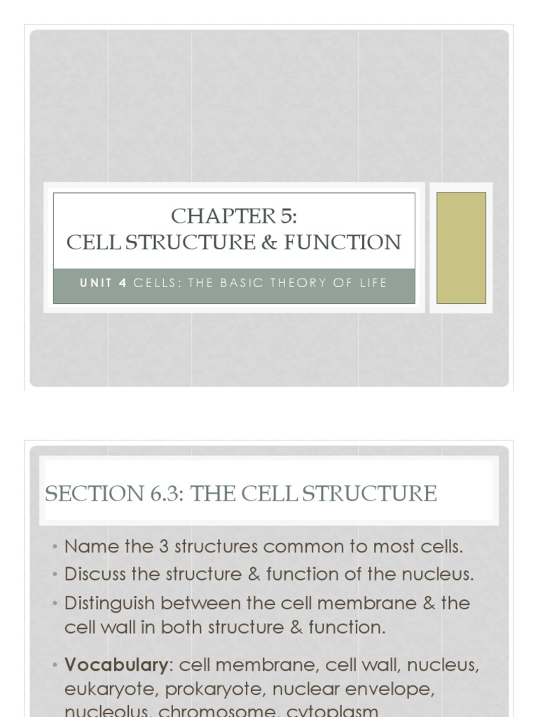 6.3 Cell Structure Function & Organelles | PDF | Cell (Biology) | Cytoplasm