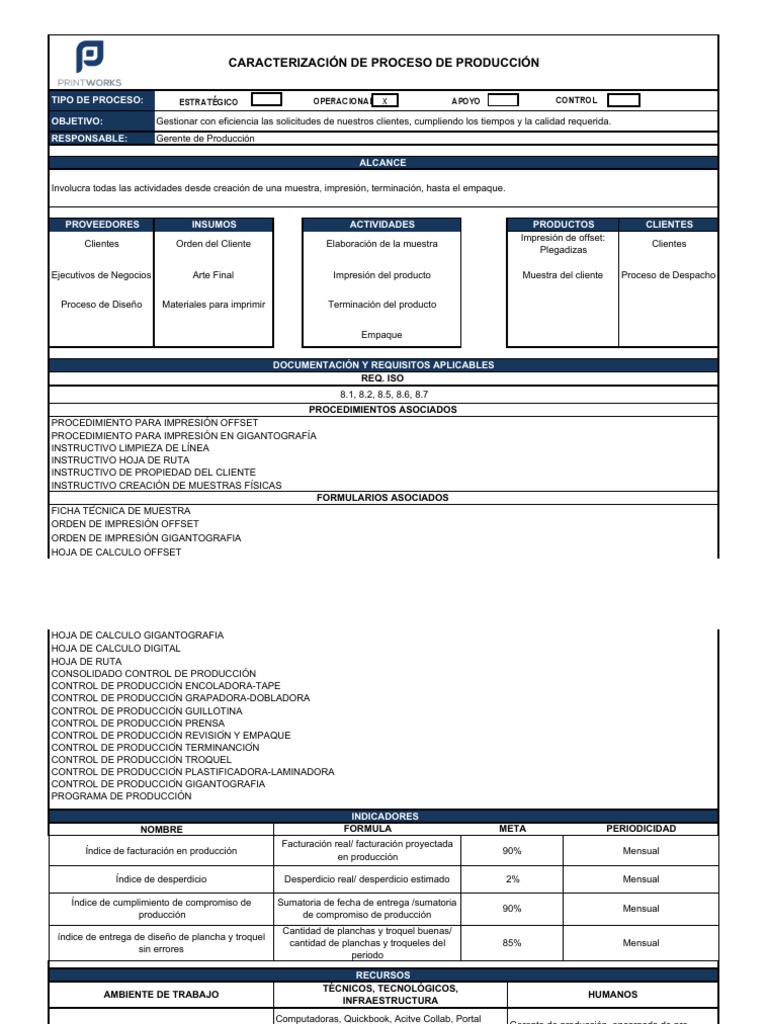 Caracterizacion de Proceso de Produccion | PDF | Diseño | Business