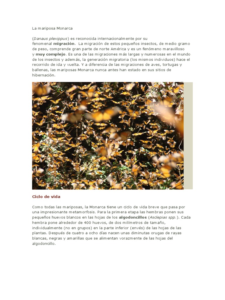 La Mariposa Monarca | PDF | Zoología