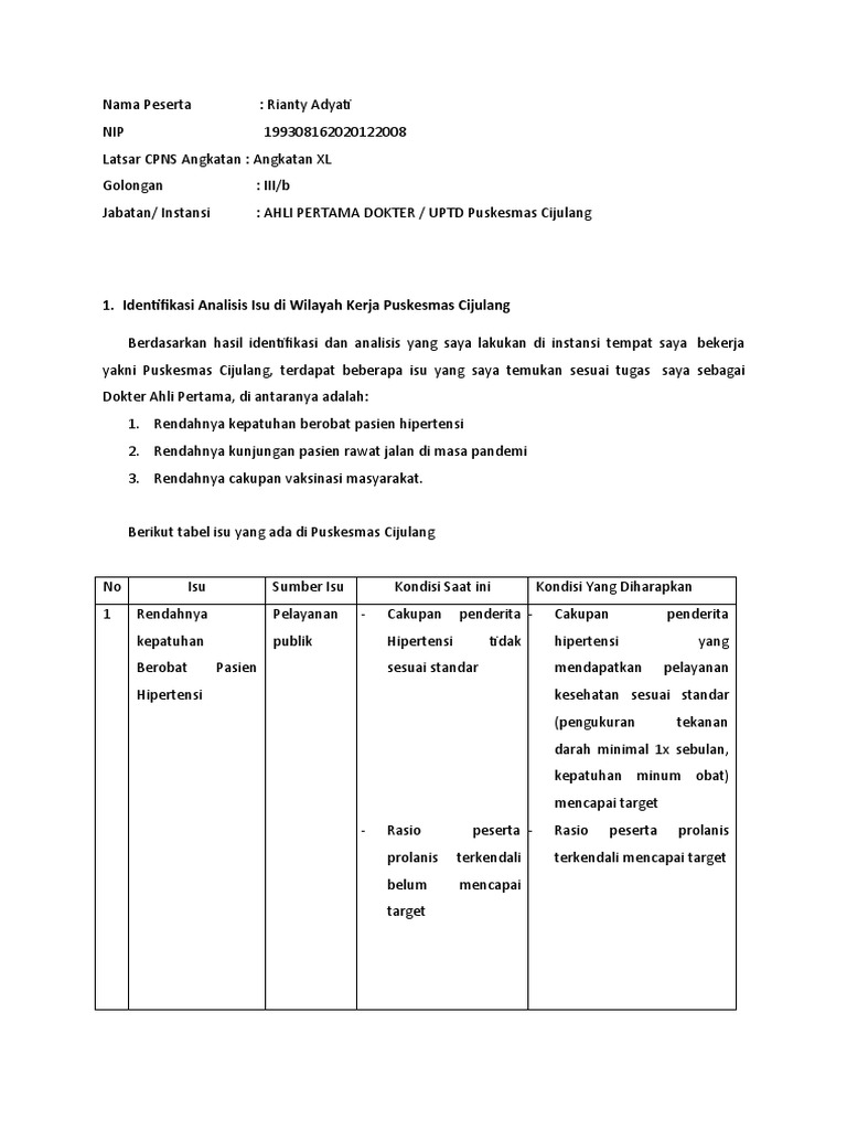 Tugas Individu Analisis Isu | PDF