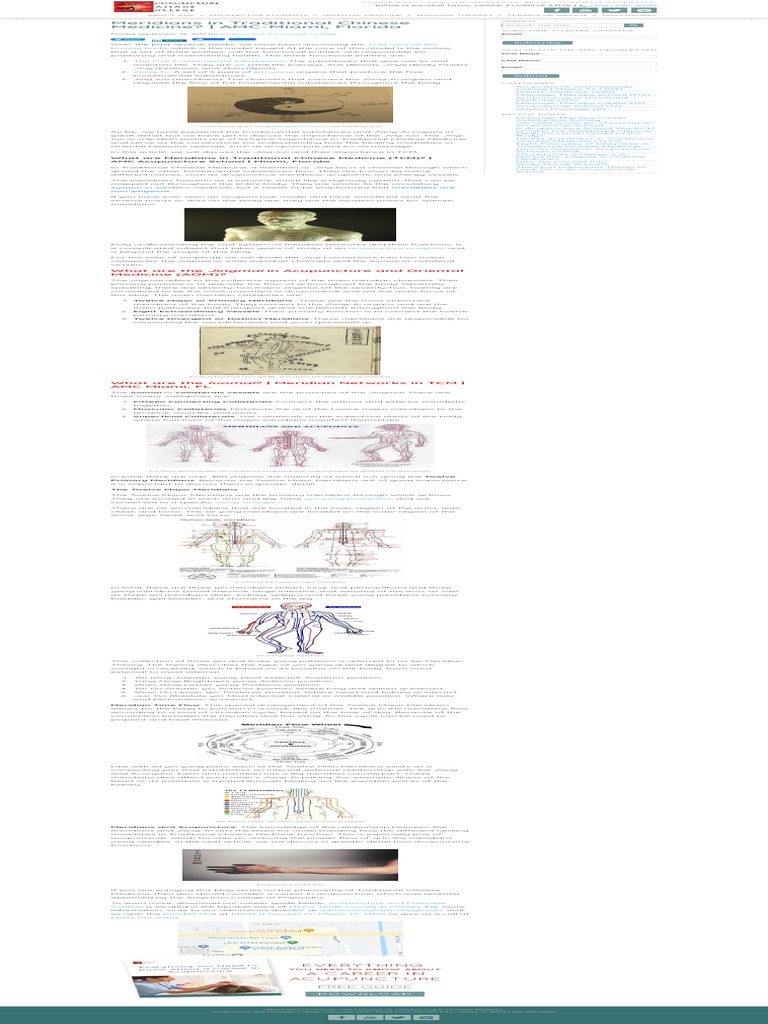 Meridians in Traditional Chinese Medicine? - AMC-Miami, Florida | PDF ...