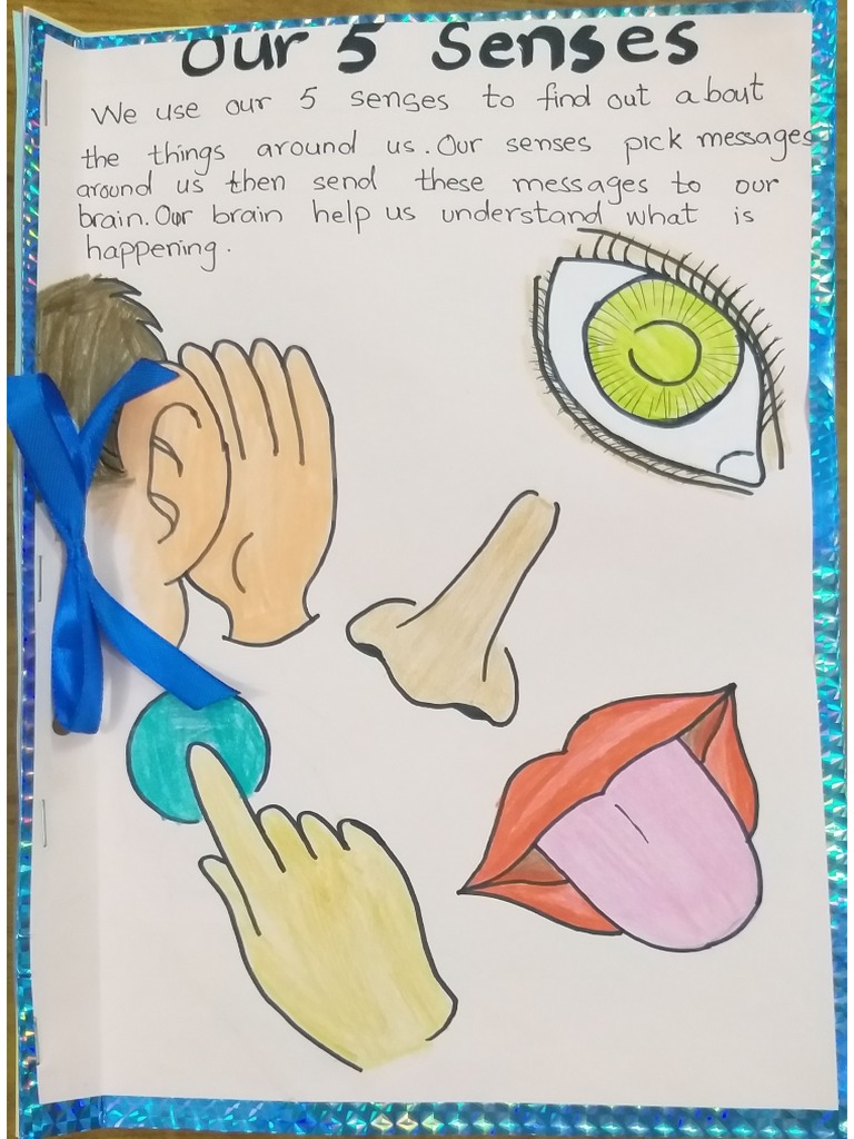 Senses Project Grade 1 | PDF