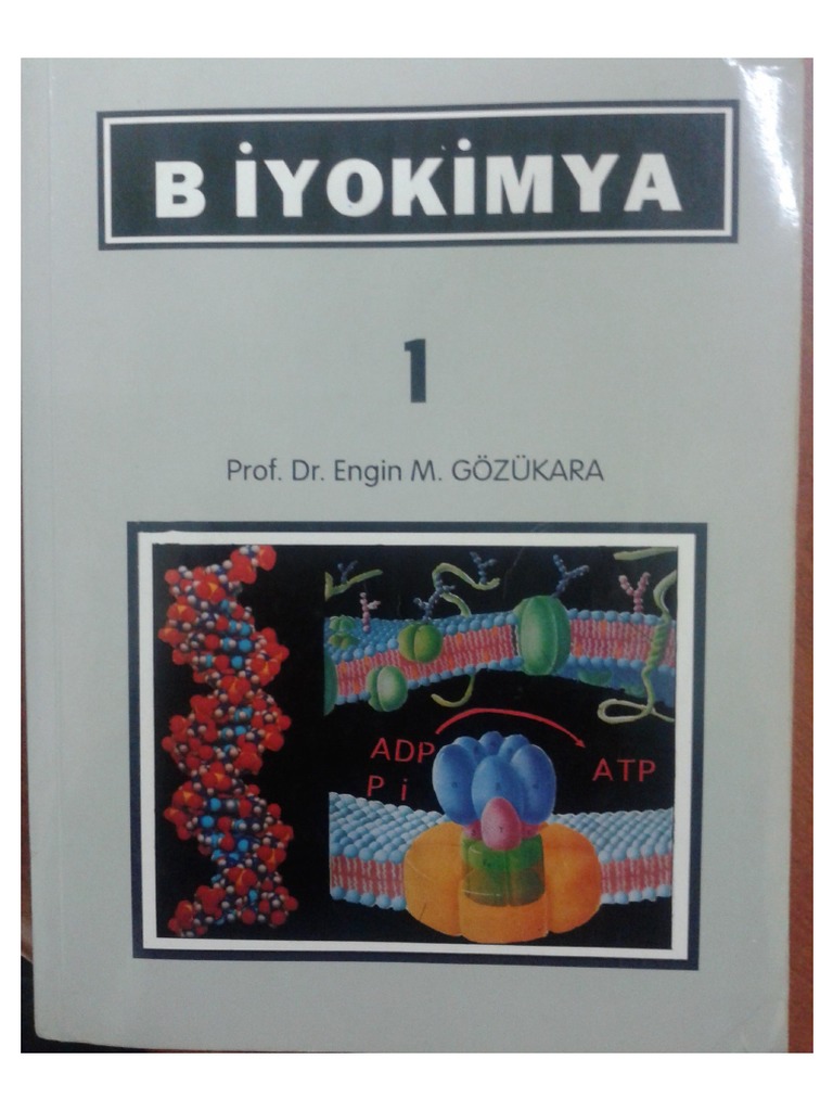 Biyokimya (Engin Gözükara) | PDF
