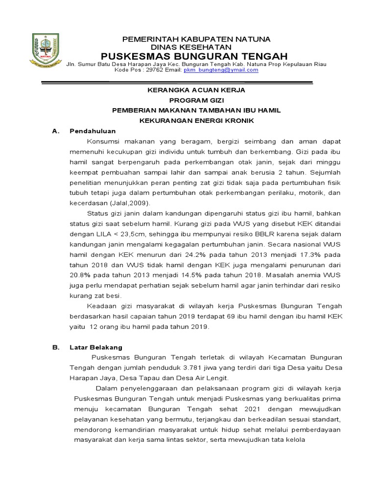 Kak PMT Pemulihan Bumil Kek | PDF