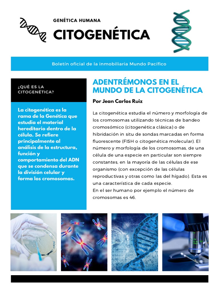 Citogenética | PDF | Citogenética | Cromosoma