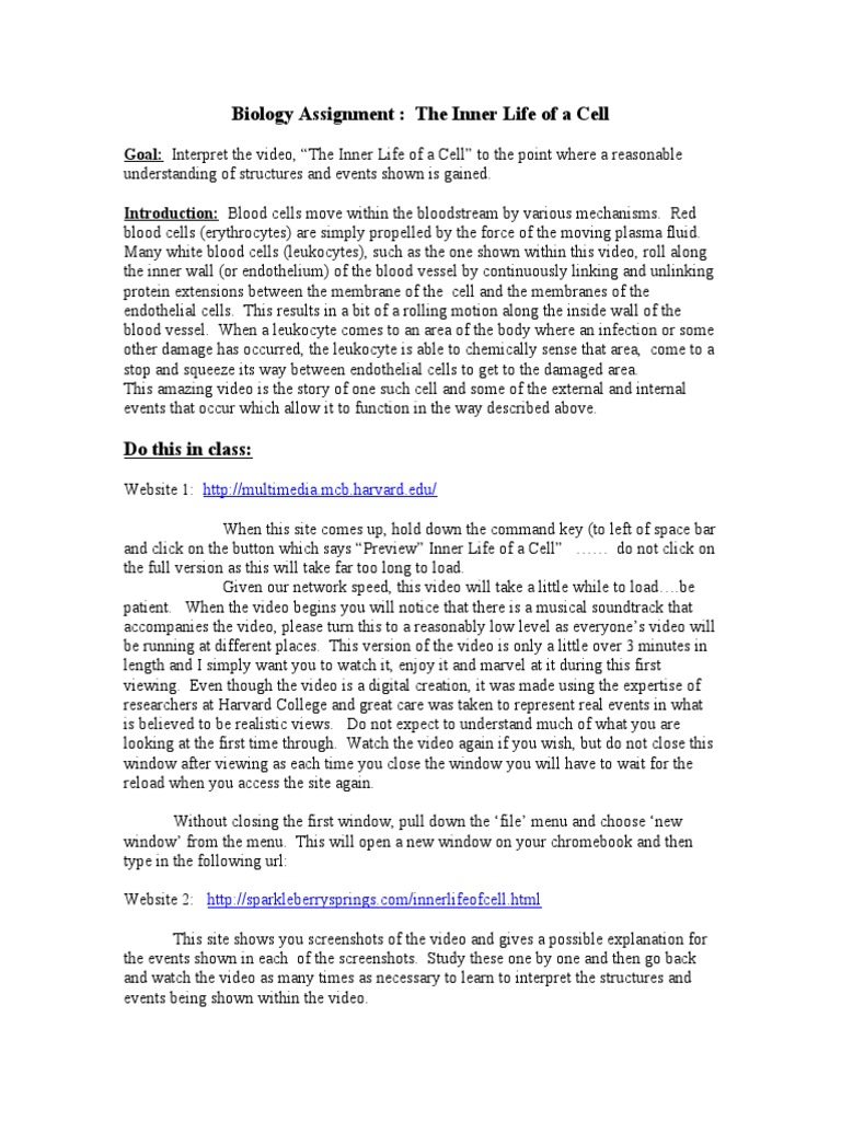 Biology Assignment: The Inner Life of A Cell | PDF | Endothelium | Blood