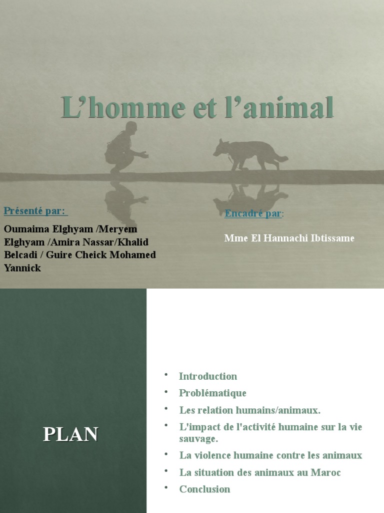 Presentation L'Homme Et L'animal Final | PDF | Faune