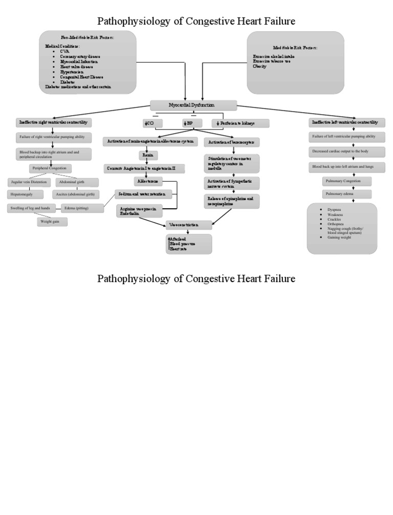Congestive Heart Failure Pathophysiology
