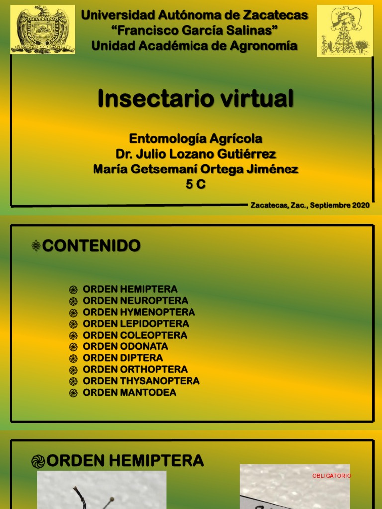Insectario Virtual. | PDF | Insectos | Insectos y humanos