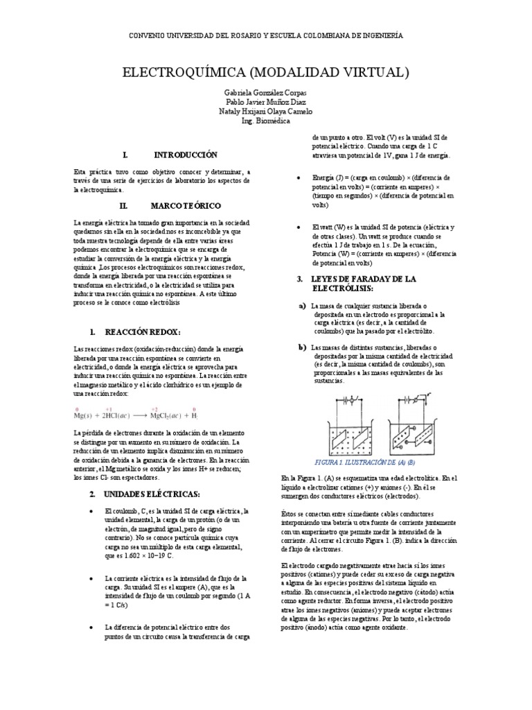 Informe 6. Electroquimica | Descargar gratis PDF | Redox | Electrodo