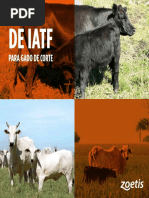 Aula - Manejo Alimentar de Caprinos e Ovinos | PDF | Ovelhas | Desperdício