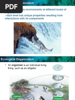 Bat Morphology and Foraging Ecology | PDF | Bat | Foraging