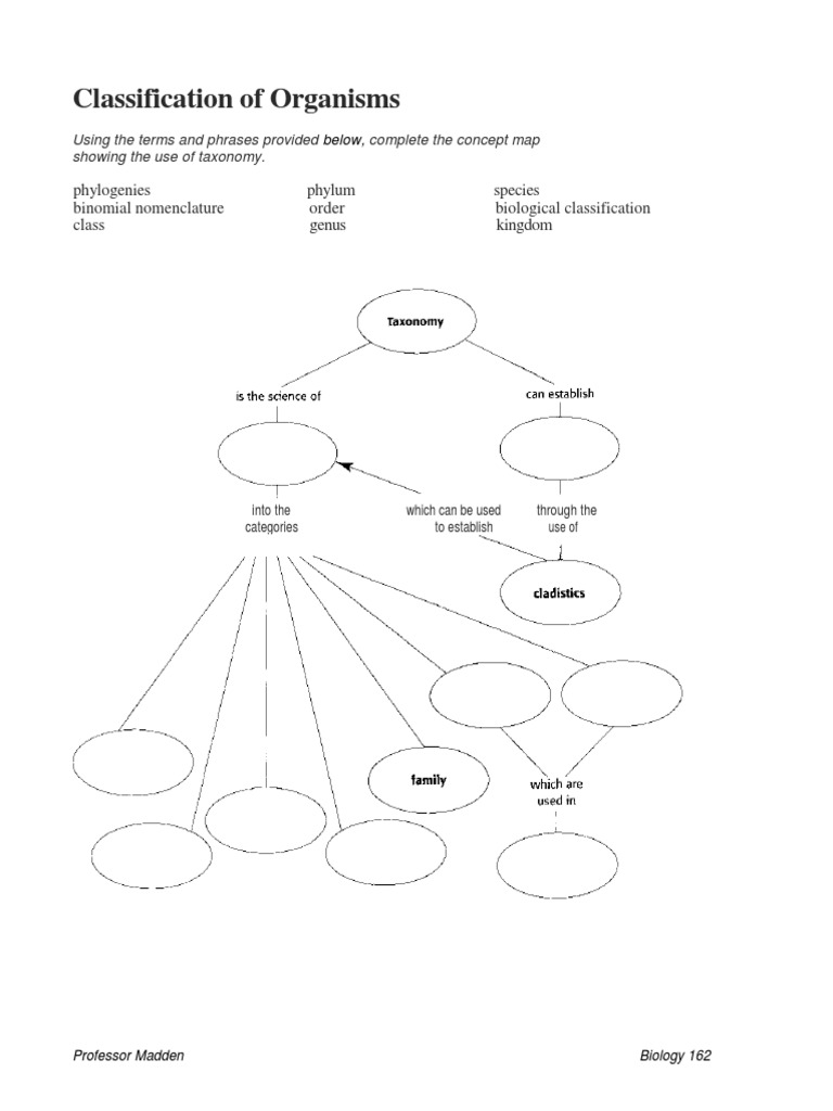 BIOLOGY 162 Concept Map Part 1 PDF | PDF | Invertebrate | Fish