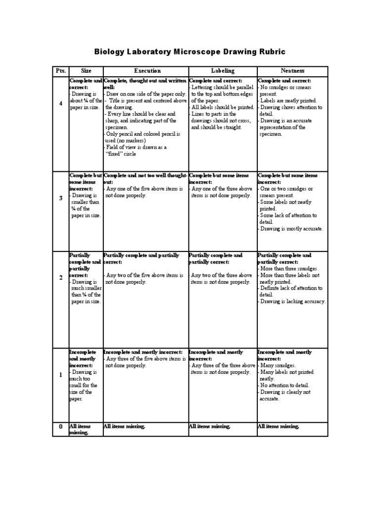 Microscope Drawing Rubric Guide | PDF | Drawing