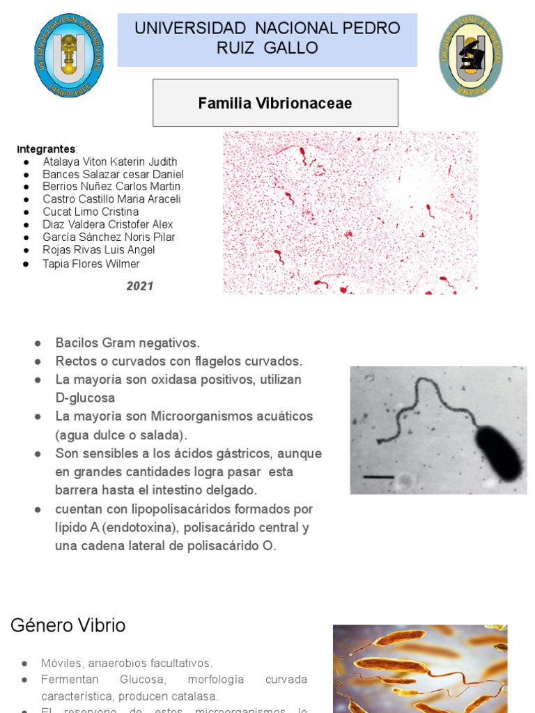 Características de Vibrionaceae | PDF | Medicina CLINICA | Microbiología