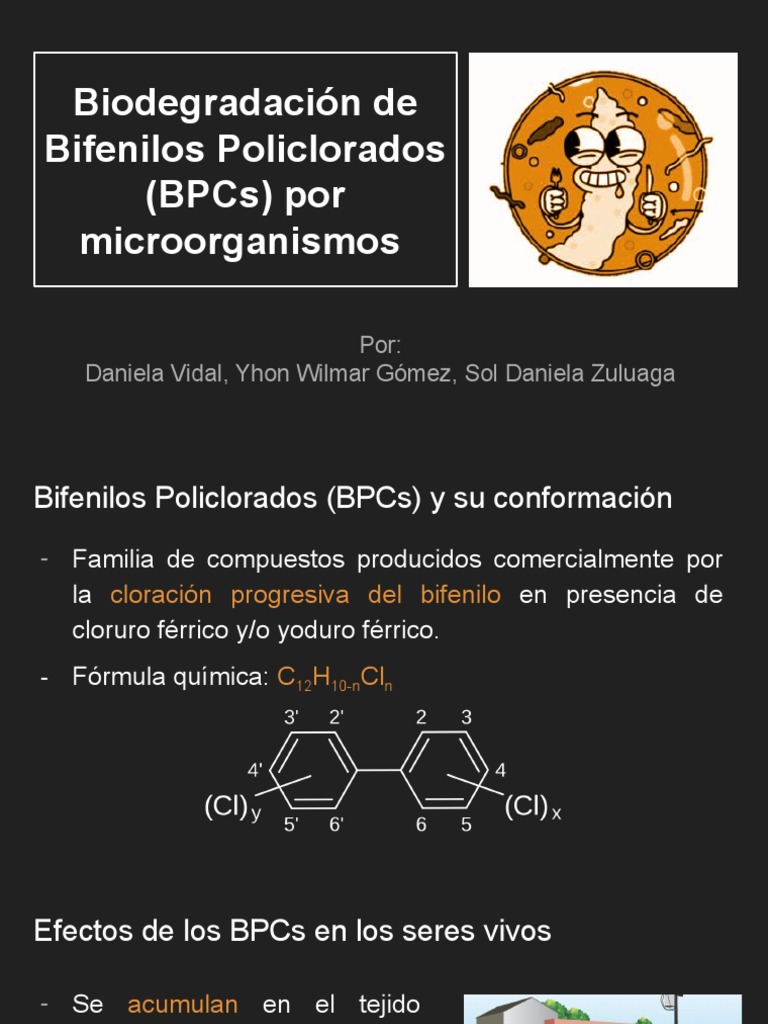 Bifenilos Policlorados | PDF | Biodegradación | Bifenilo policlorado