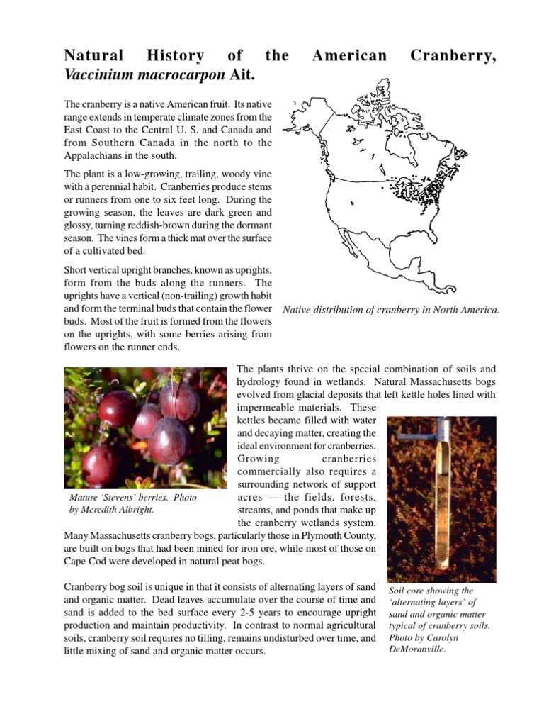 American Cranberry Natural History Guide | PDF | Cranberry | Soil