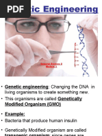 The Process of Genetic Engineering | PDF | Genetics | Genetic Engineering