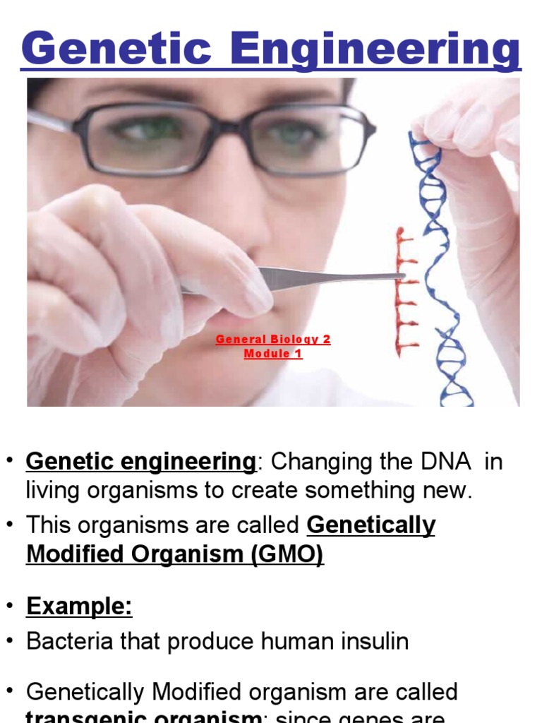 Genetic Engineering | PDF | Cloning | Genetically Modified Organism