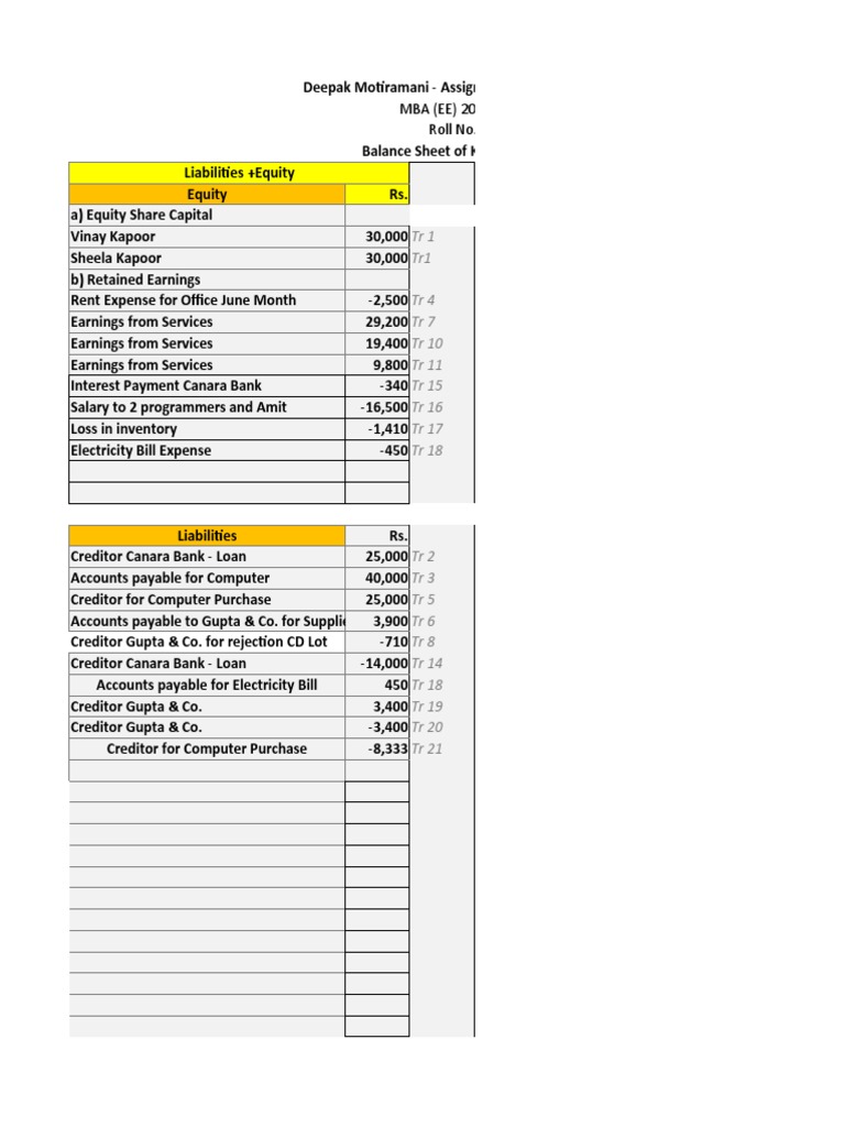 Financial Account Balance Sheet Assignment 2 Kapoor Software LTD ...