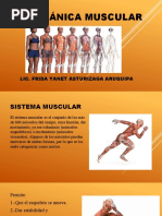 Mecánica Muscular y Función | PDF | Músculo | Contracción muscular