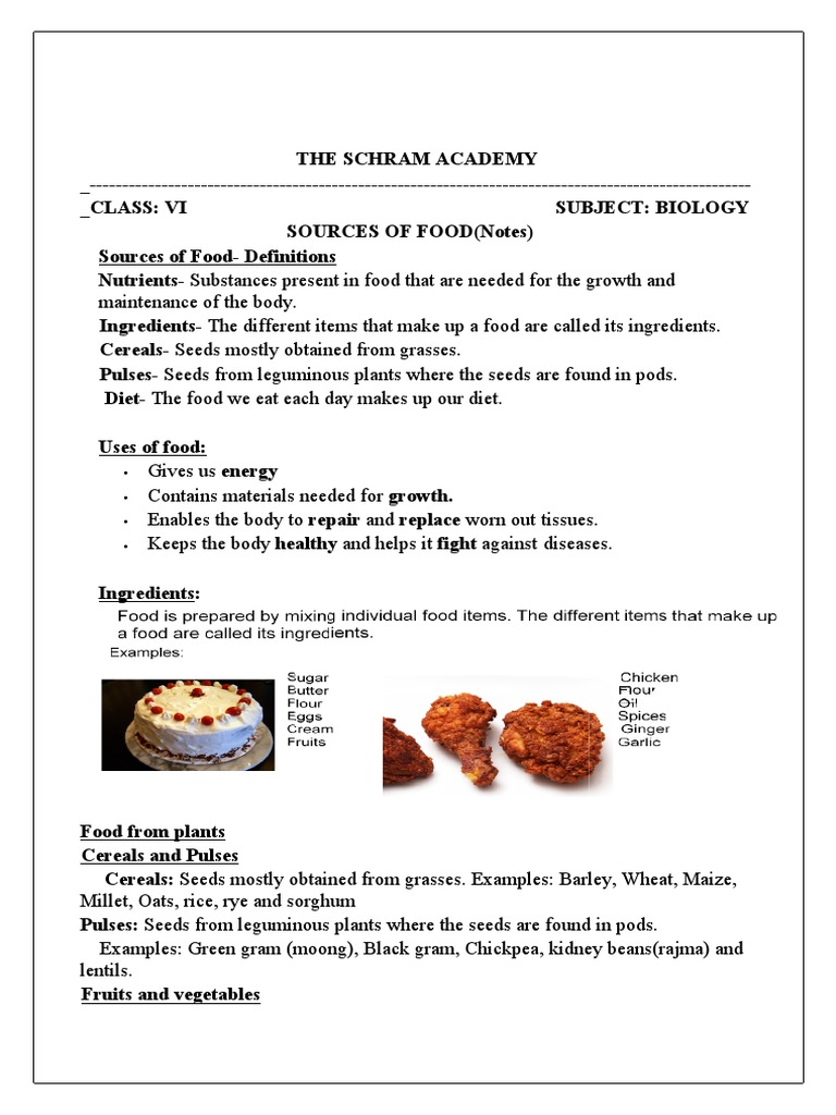 Sources of Food | PDF
