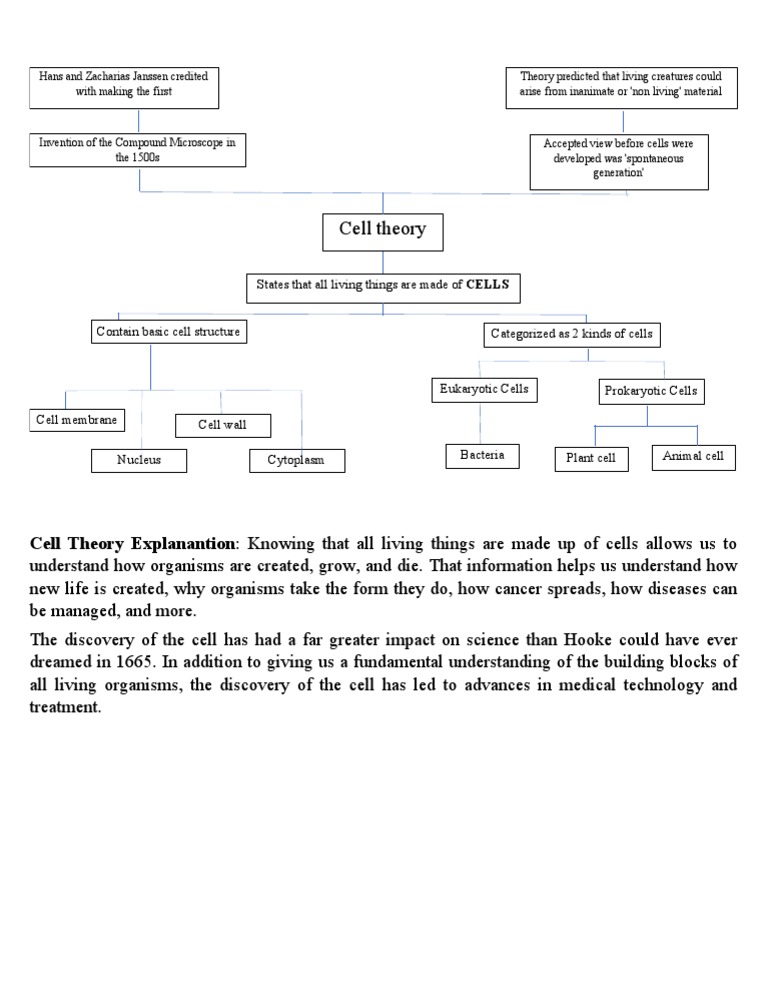 Cell Theory Explanantion Concept Map | PDF | Social Science | Philosophy