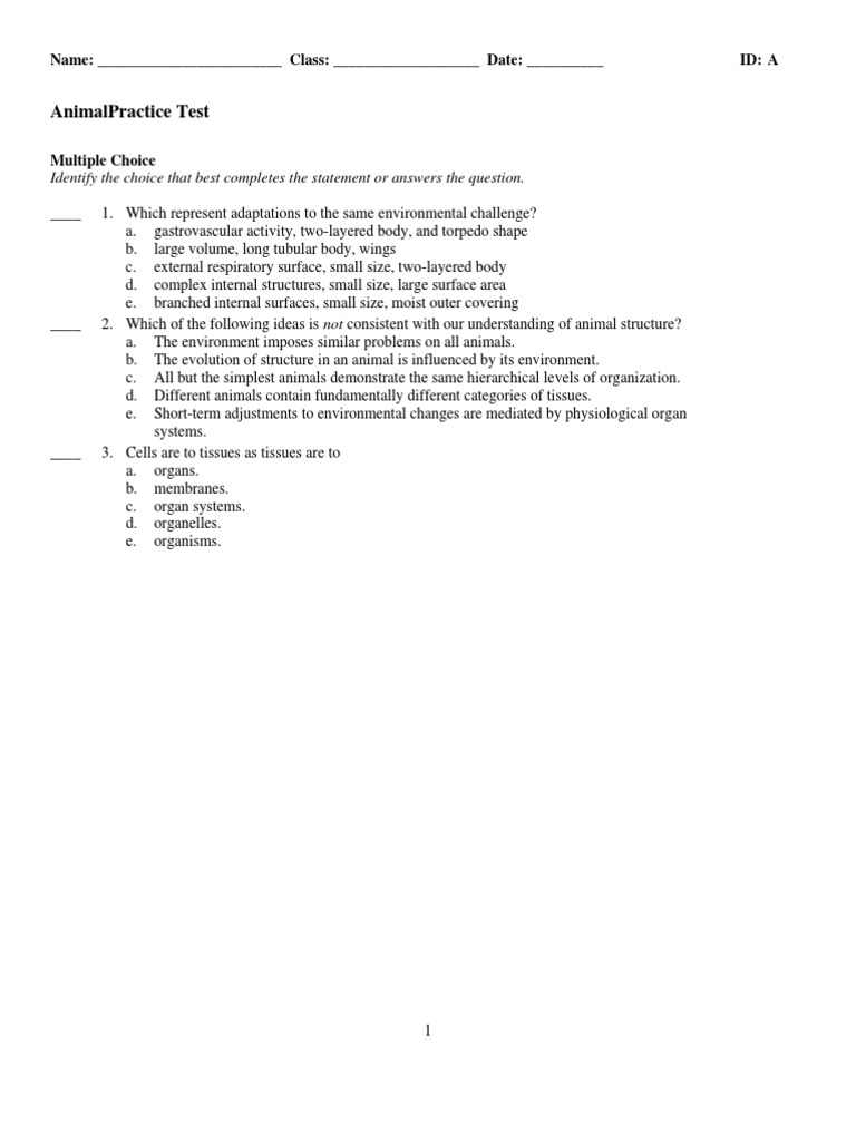 Animal Structure and Function Practice Test | PDF | Immune System | T Cell