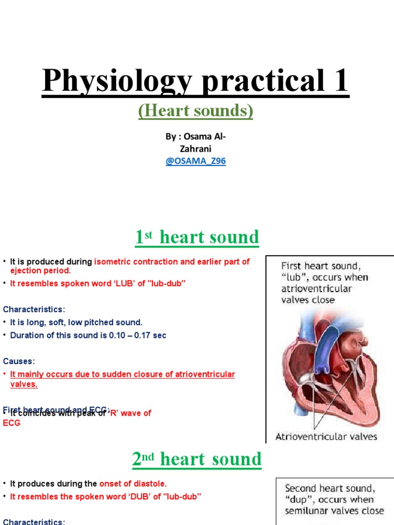 Physiology Practical 1: (Heart Sounds) | PDF | Heart Valve | Heart