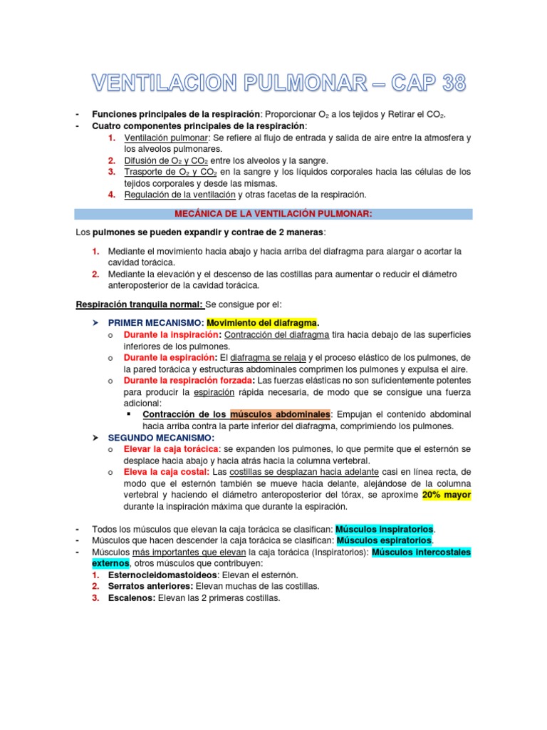 Cap 38 - Ventilacion Pulmonar | PDF | Pulmón | Sistema respiratorio