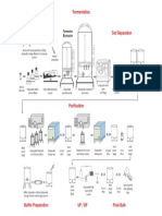 Portex Ambulatory Chest Drainage Brochure - Portex - Smith | PDF ...