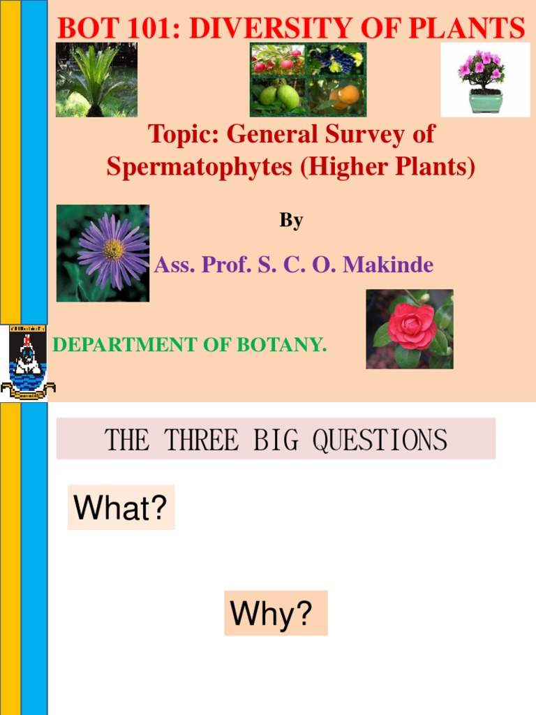 BOT 101 Lecture Note On Spermatophytes | PDF | Horticultural Techniques ...