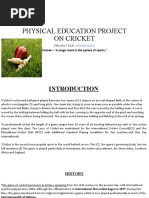 Physical Education Project | PDF | Bowling (Cricket) | Cricket