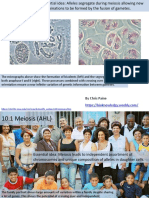 Amoeba+Sisters +the+Cell+Cycle+ (And+cancer) +Video+Notes+Page | PDF ...